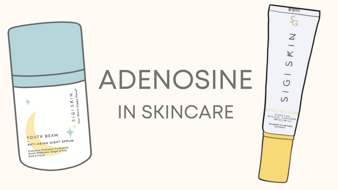 Ingredient Spotlight Adenosine - Youth Beam and Morning Glow – Sigi Skin