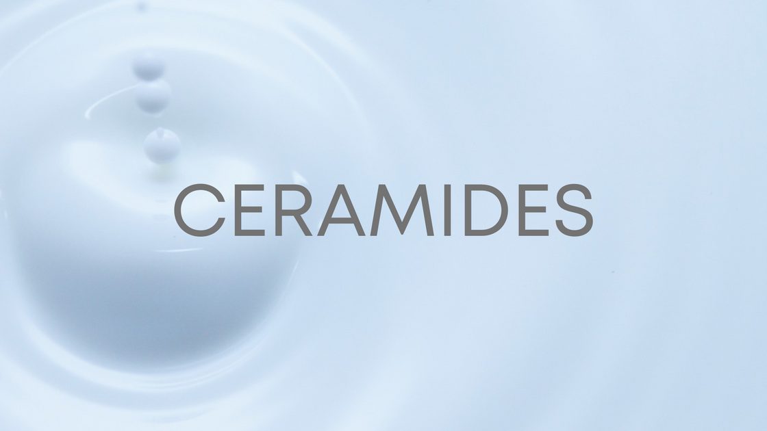 The role of ceramides in the moisture barrier – Sigi Skin